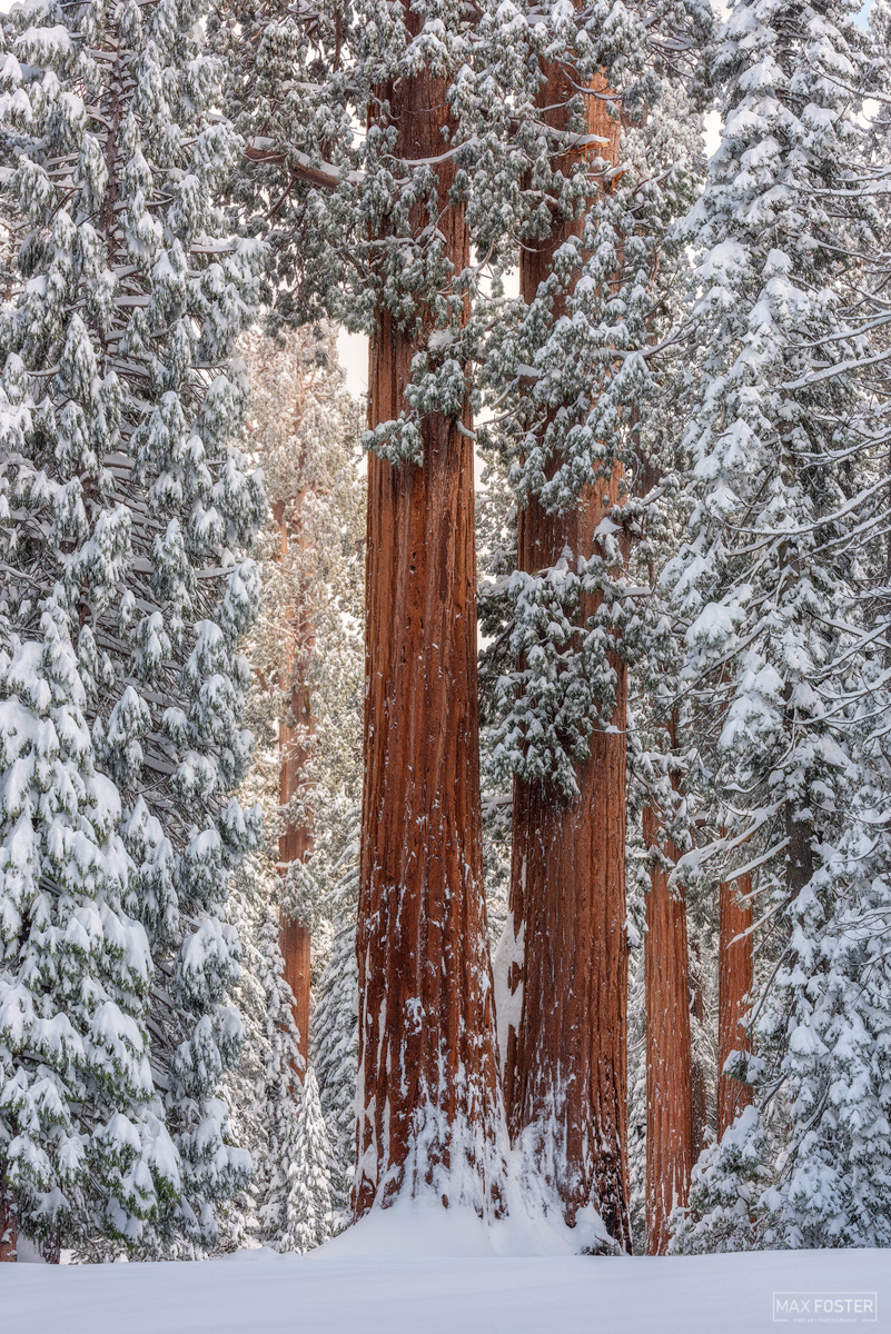 Photographer of the Month: Max Foster - CaptureLandscapes